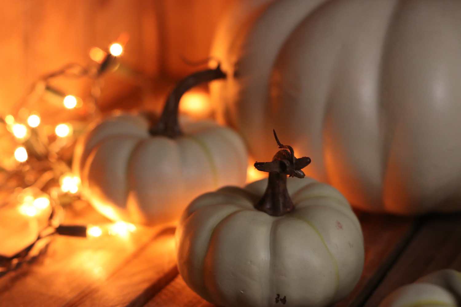 Decorating for Fall with Lights – Christmas Light Source