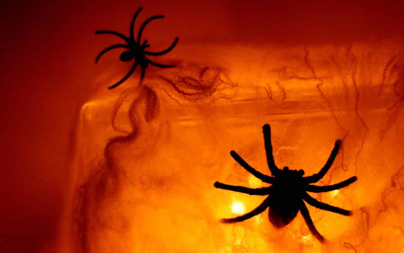 Spider Glass Block – Christmas Light Source