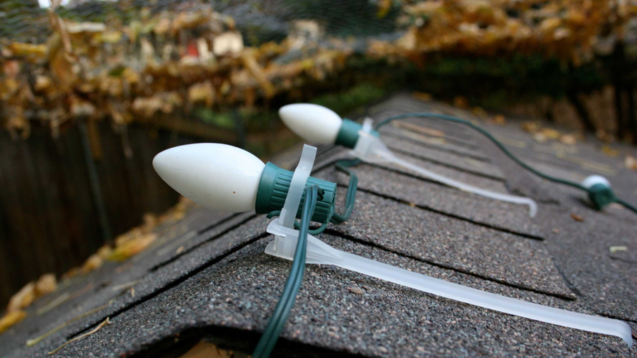 Christmas Light Source - Making Celebrations Brighter since 2005