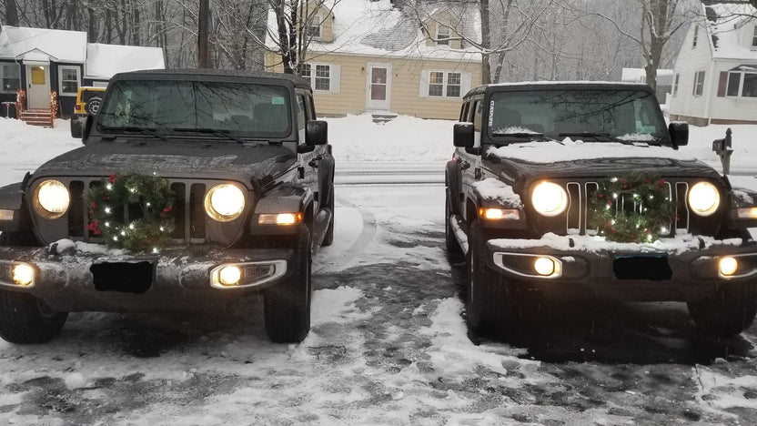 12 Volt LED String Lights – Christmas Light Source