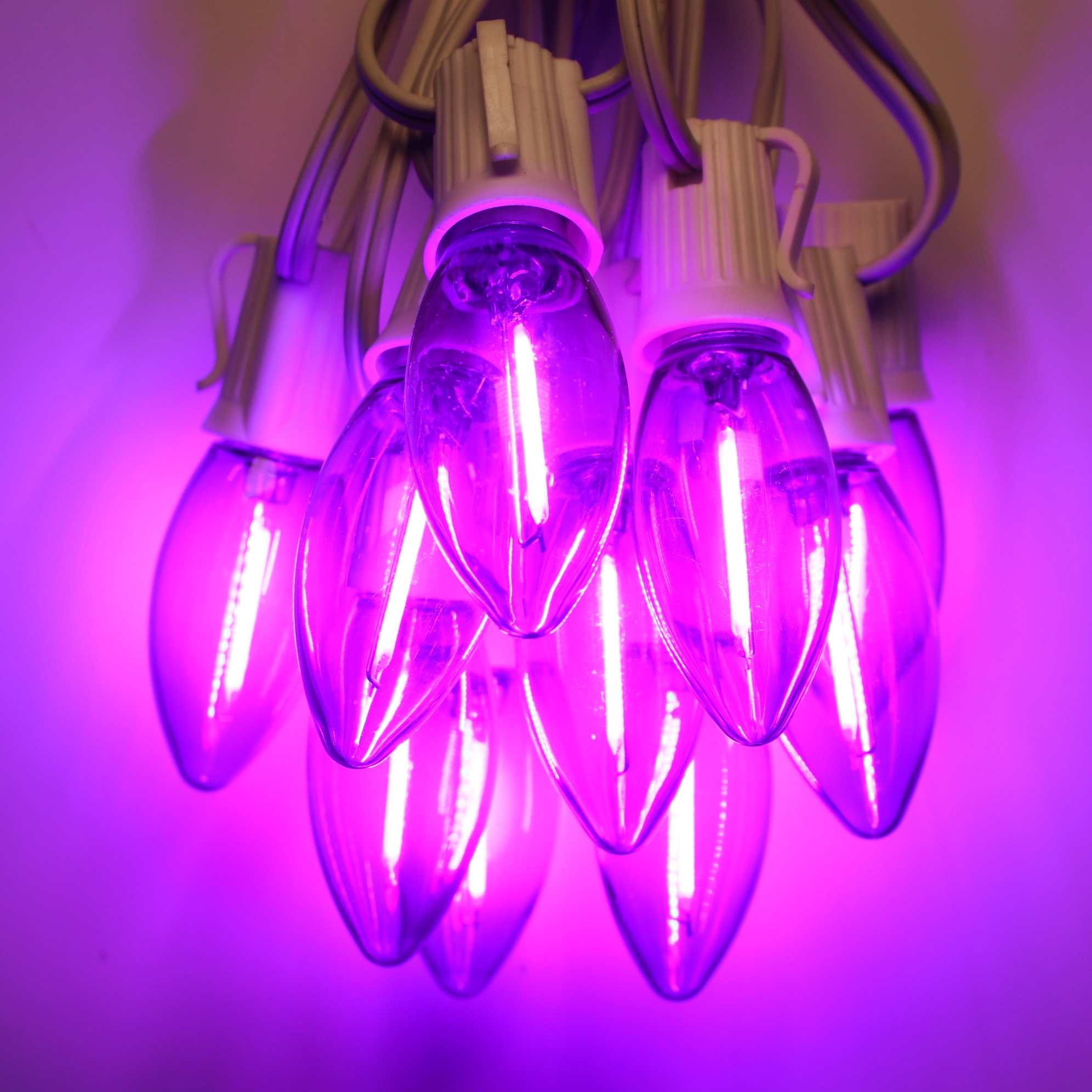 Purple C9 LED Bulbs with Filaments – Christmas Light Source