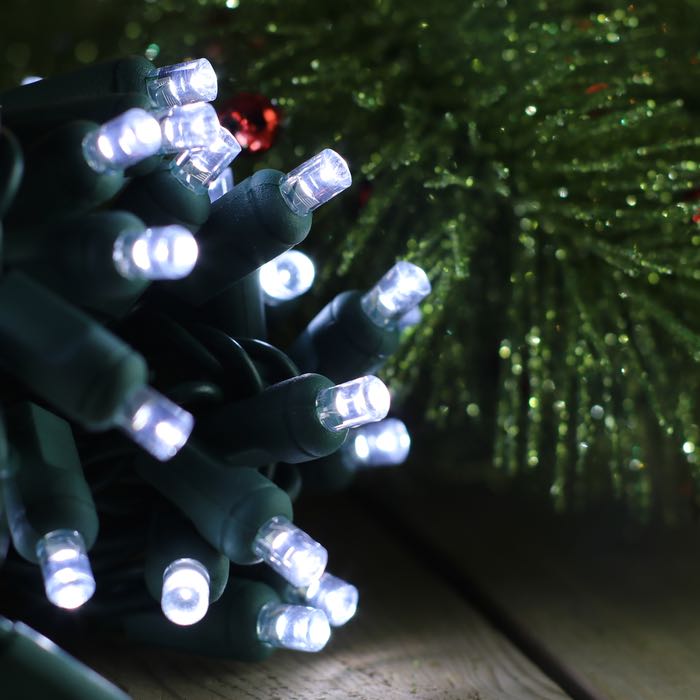 LED Twinkle Mini Lights – Christmas Light Source