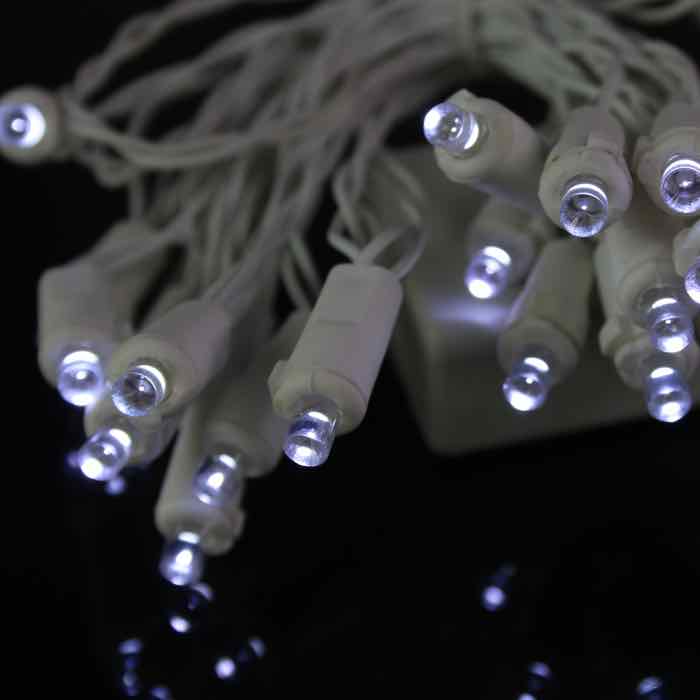 20-light 5mm Pure White LED Battery Lights, White Wire – Christmas ...