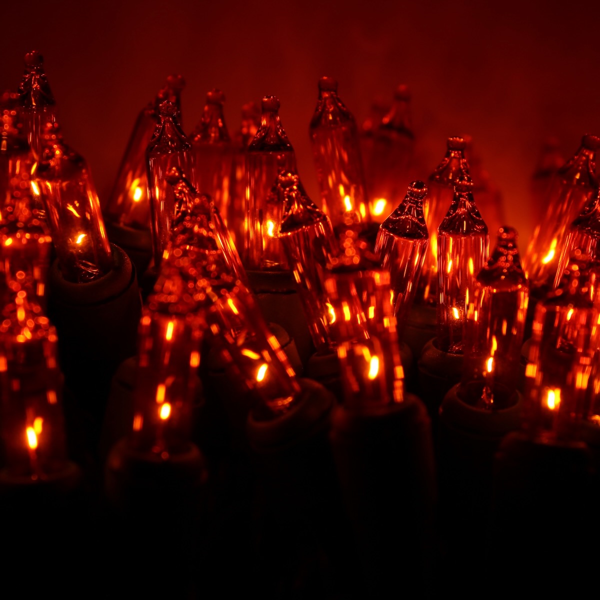 100-bulb Orange Mini Lights, 4" Spacing, Green Wire – Christmas Light ...