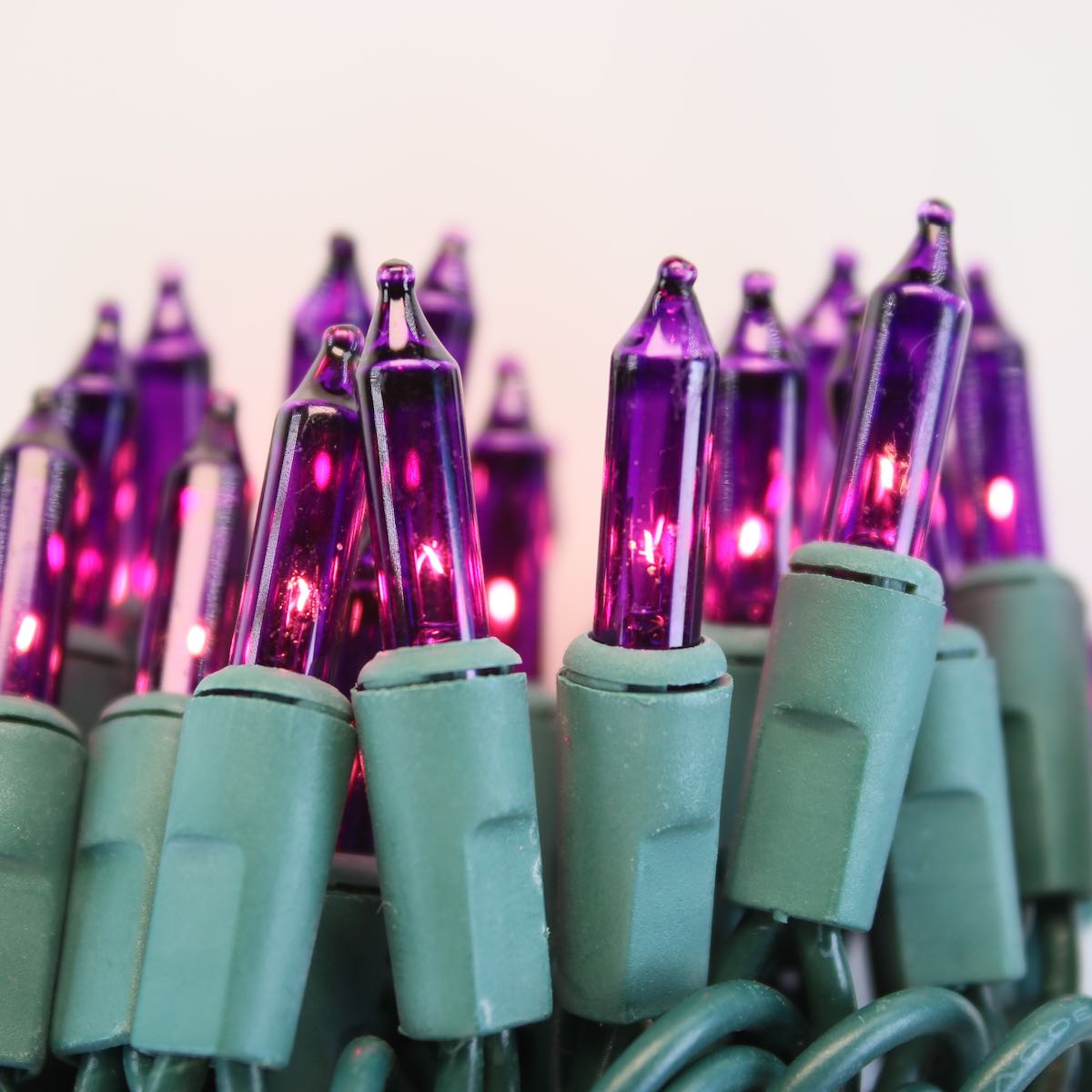 50-bulb Purple Mini Lights, 4" Spacing, Green Wire – Christmas Light Source