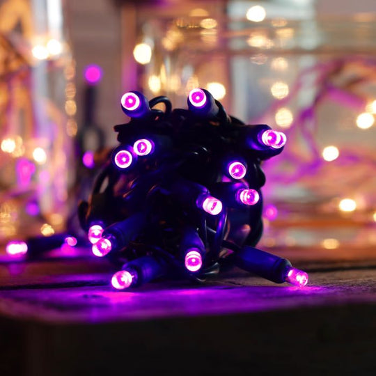 20-light Purple LED Craft Lights, Green Wire – Christmas Light Source