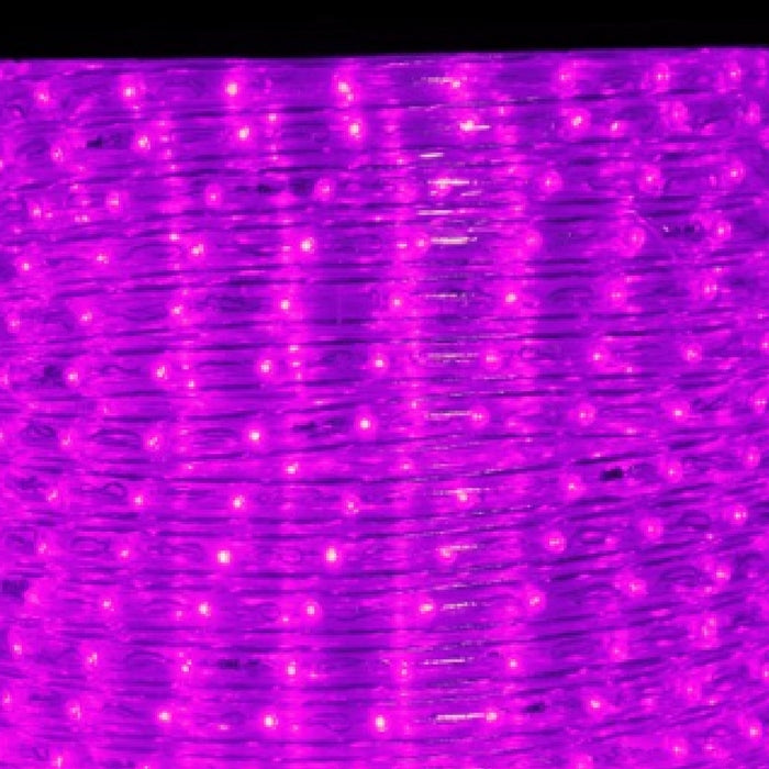 1/2" Purple LED Rope Lights – Christmas Light Source