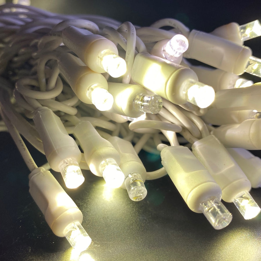 LED Twinkle Mini Lights – Christmas Light Source