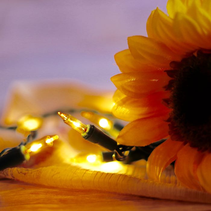 100-bulb Yellow Mini Lights, 4" Spacing, Green Wire – Christmas Light ...